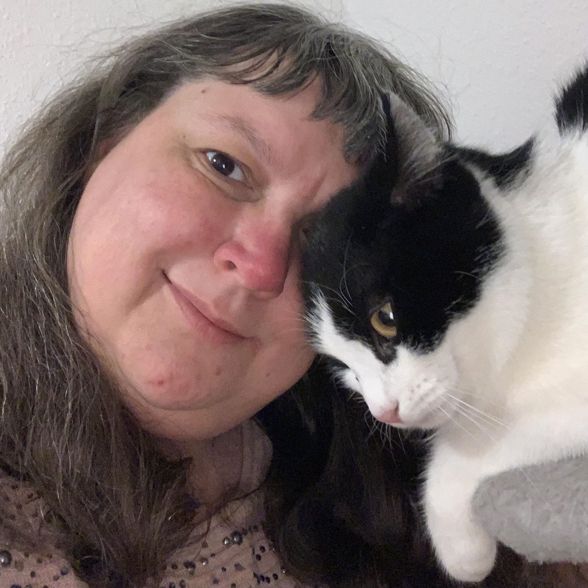 Munchkin Katze: Klein, aber oho – Sind sie wirklich so pflegeleicht, wie alle sagen? - miau magazin