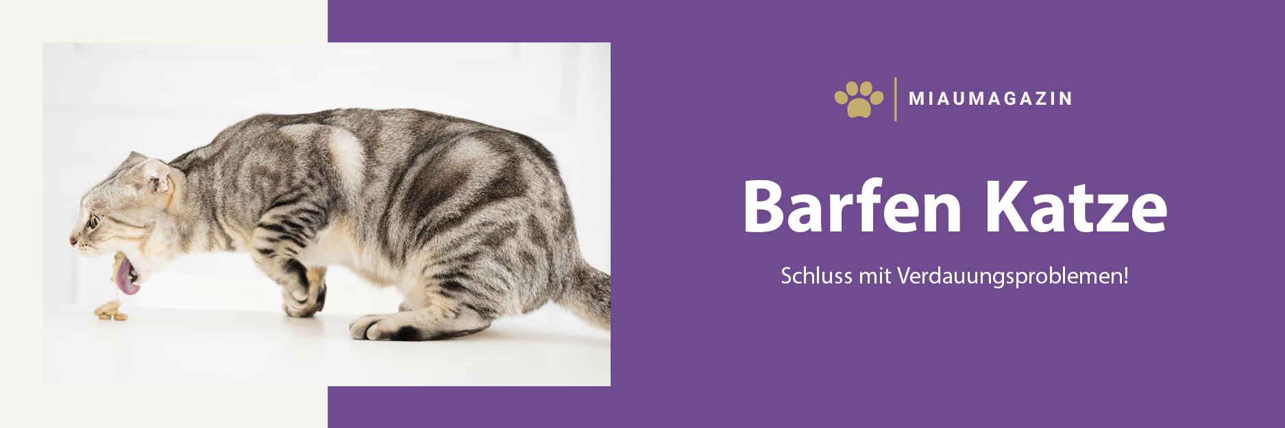 Barfen Katze: Schluss mit Verdauungsproblemen! So geht's richtig – mit ...